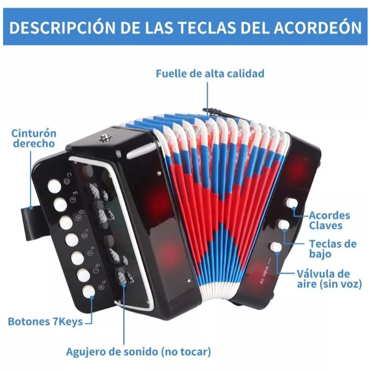 Acordeón infantil negra