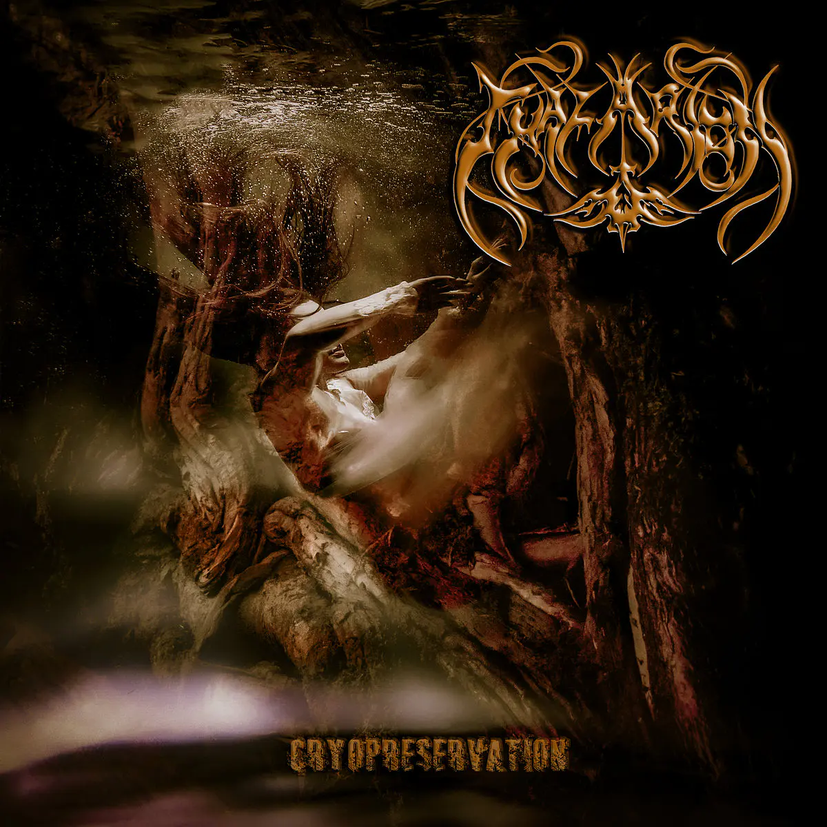 Thalarion Cryopreservation CD