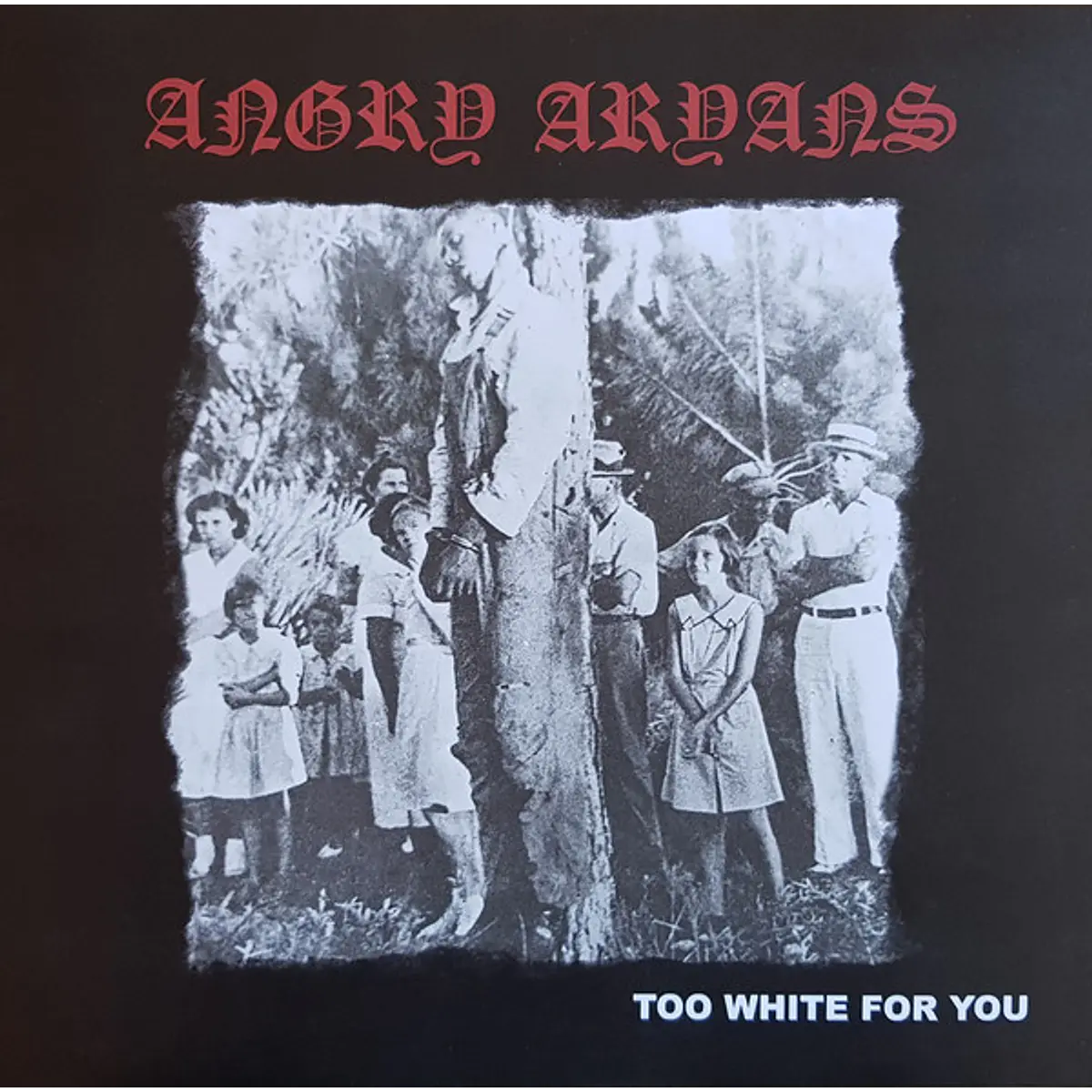 Angry Aryans Too White For You CD