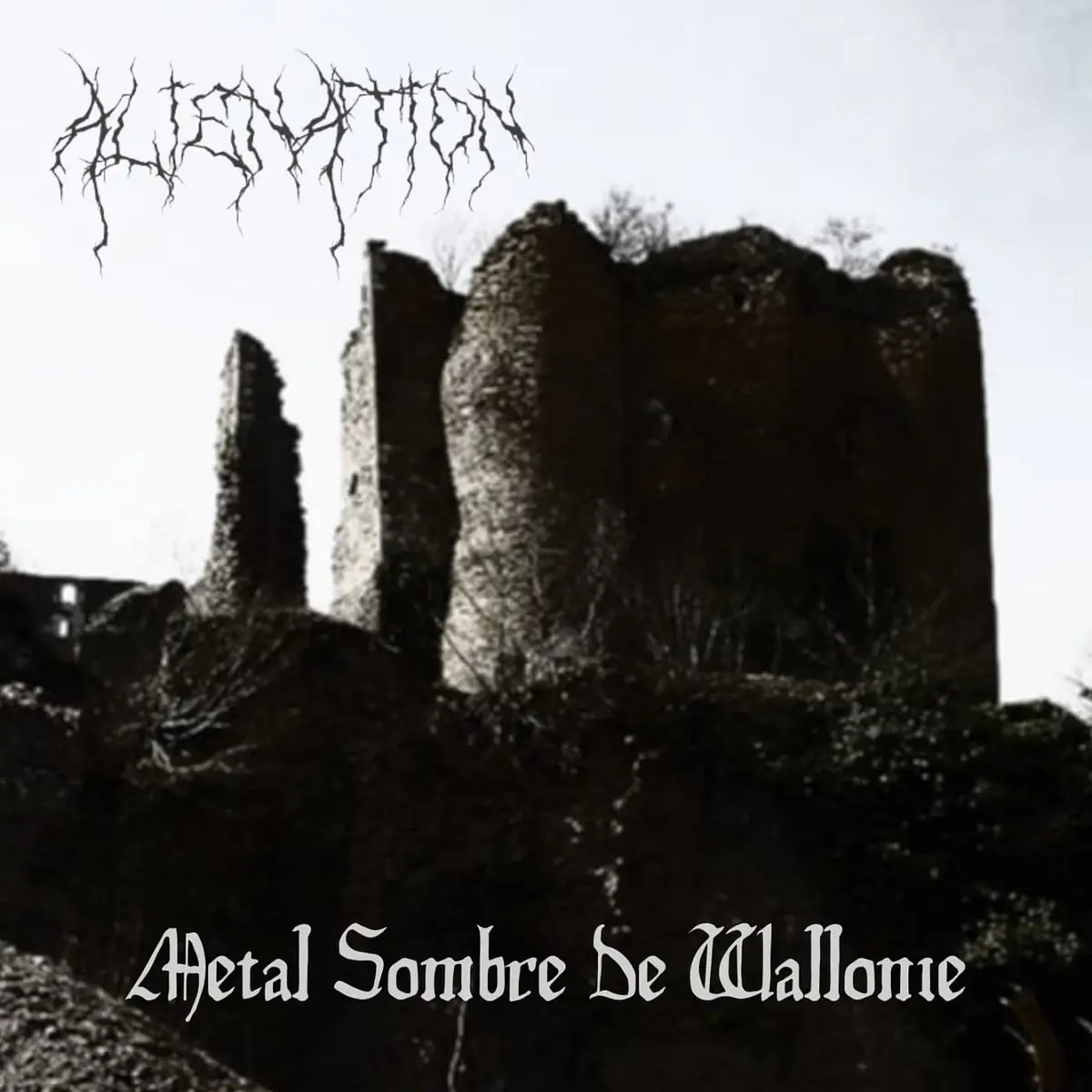 Aliénation Metal Sombre De Wallonie CD