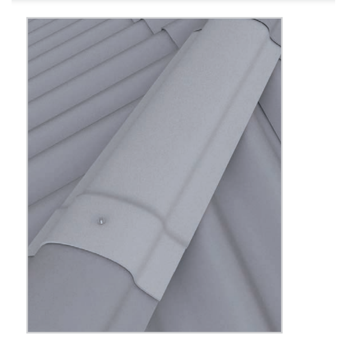 Teja Limatesa Limahoya