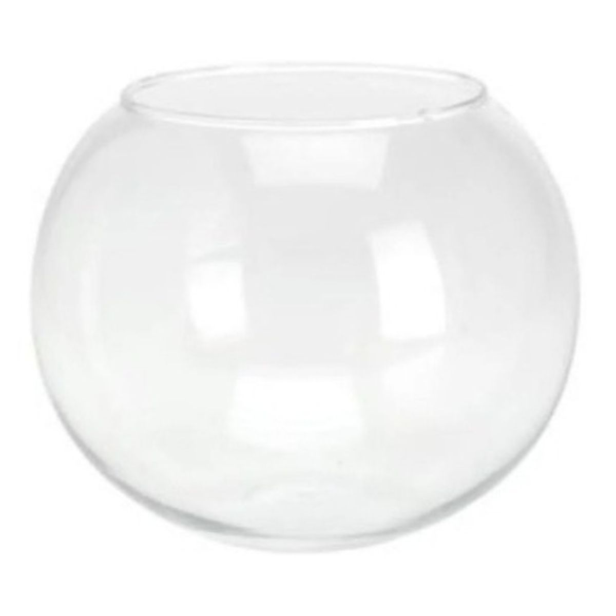 Pecera Cristal 20 X 16 Cm