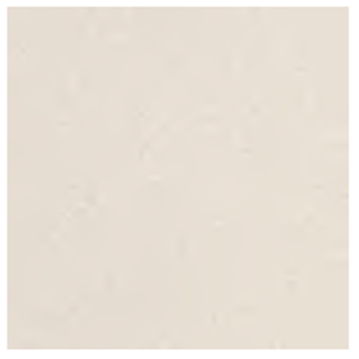 Decorado Piso Pared Century Marfil