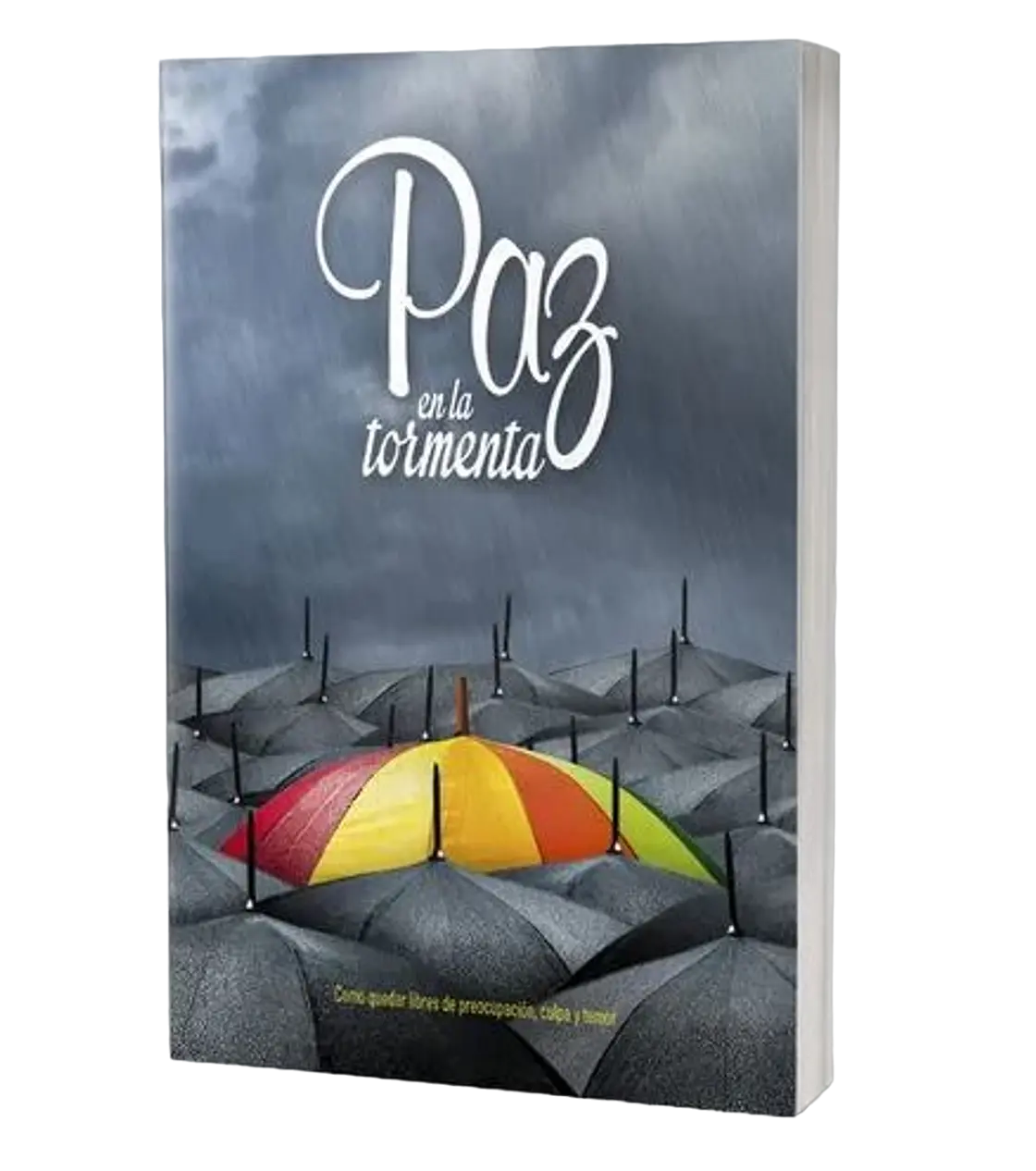 Paz en la tormenta - 2ED