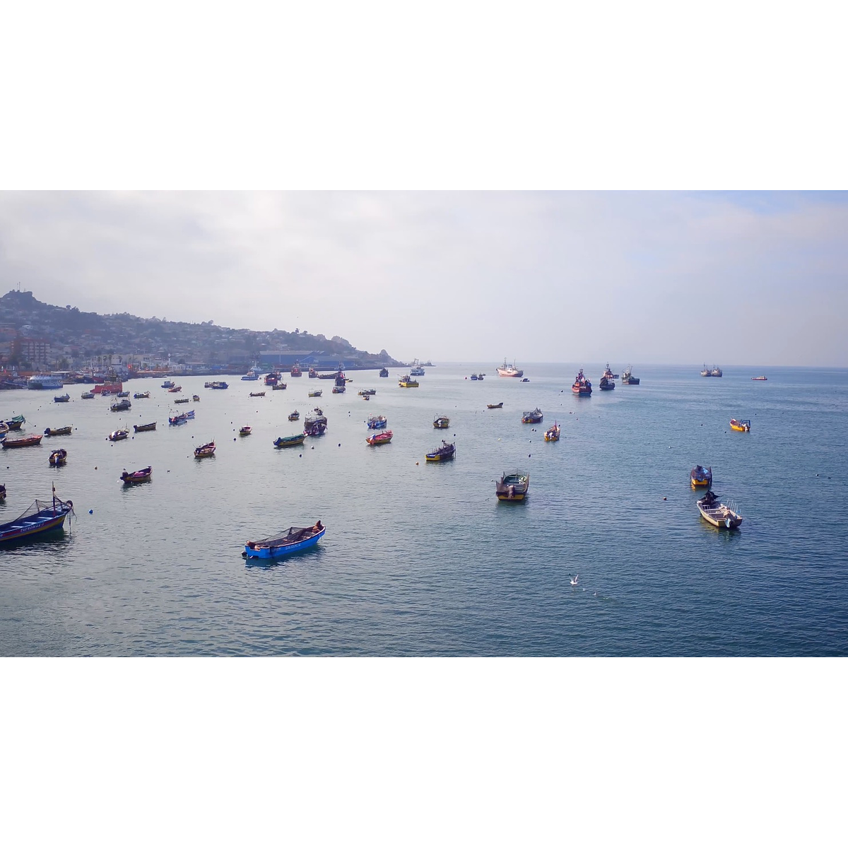 video con drone sobre botes de pesca en Coquimbo -Chile