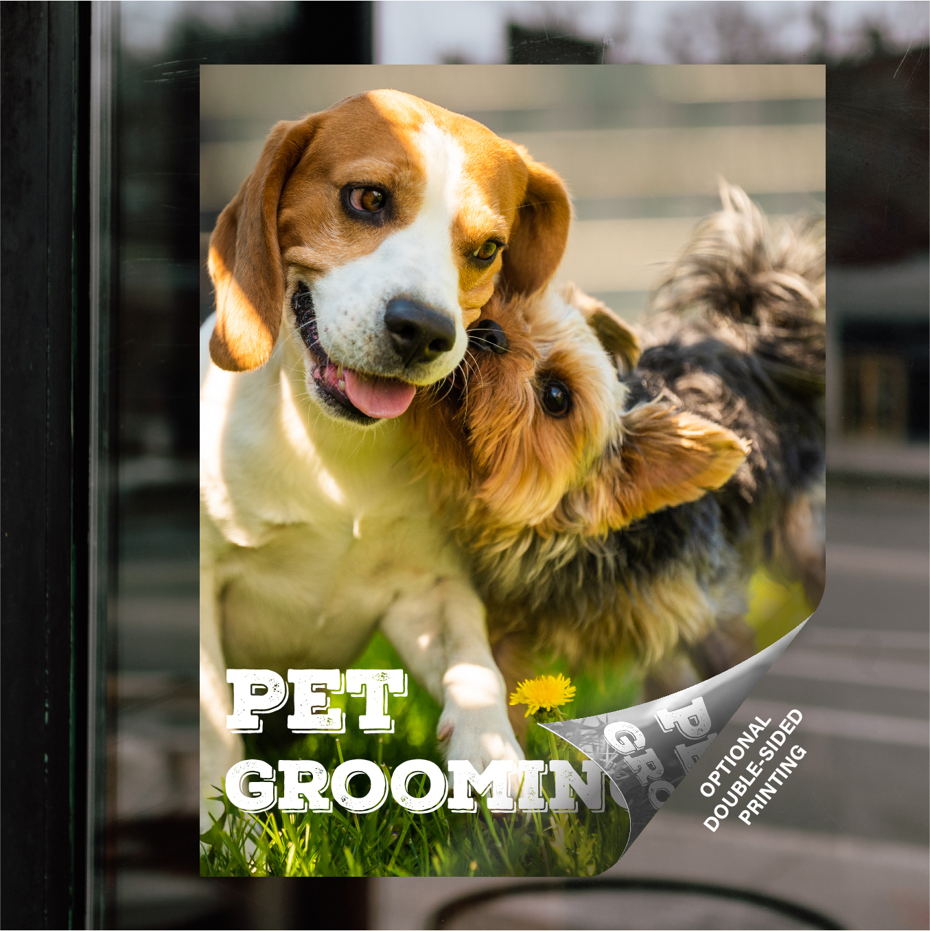 Premium Window Decal Printing | Aiyo Prinit