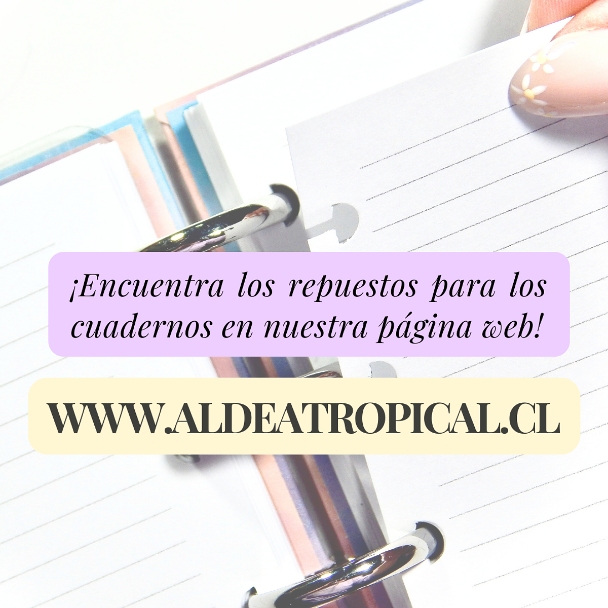 Repuesto de hojas para cuadernos con sistema de discos - inf