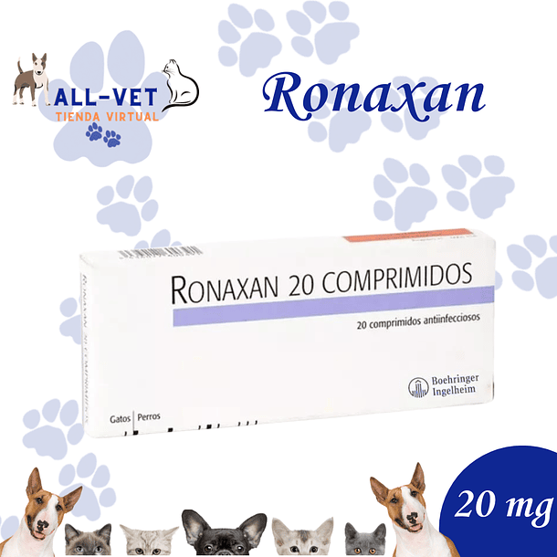 All-Vet Tienda Virtual - Pet Shop