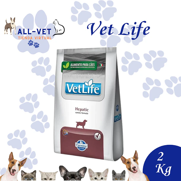 All-Vet Tienda Virtual - Artículos para Mascotas
