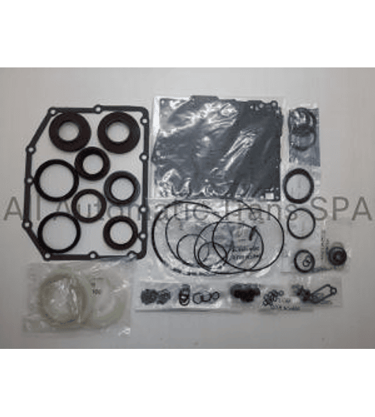 OVERHAUL KIT TF81-SC ONLY W/O PISTONS0
