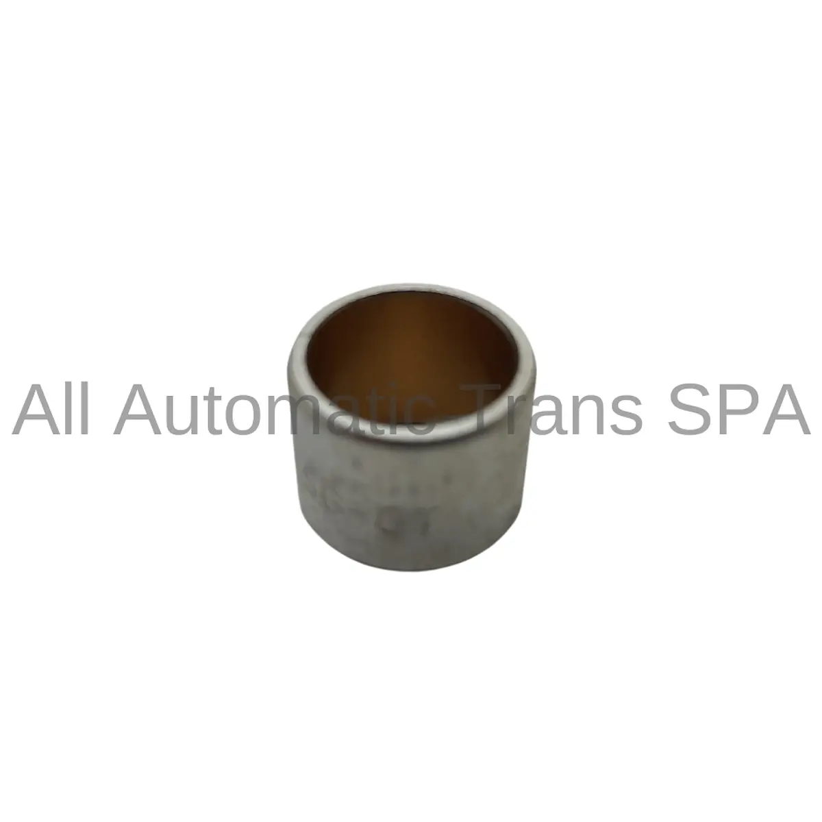 BUJE TH350 69 79 OUTPUT SHAFT PILOT BRZ OD 0.63