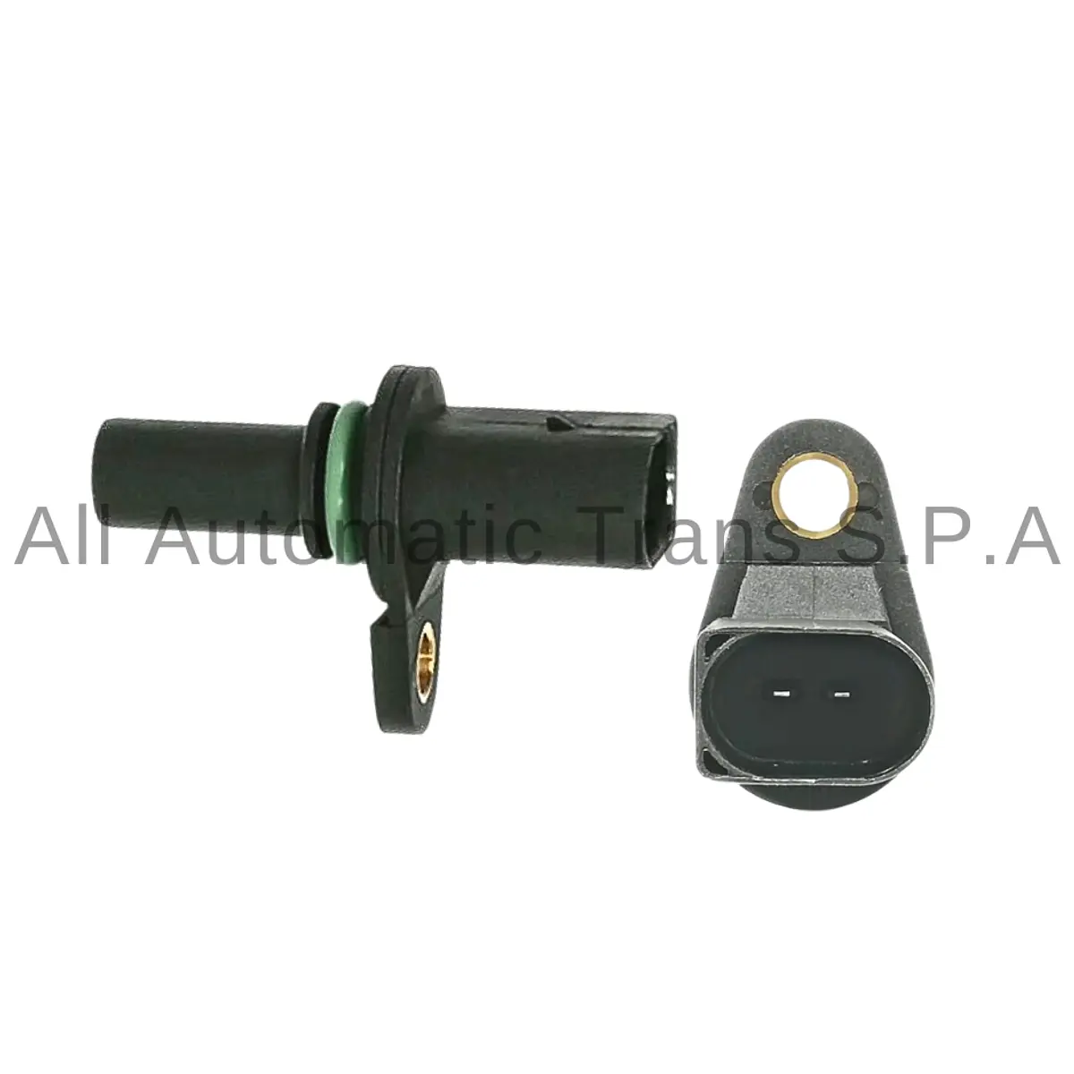 SENSOR INPUT 01M 096 095 99-2005( 2 TERMINAL)