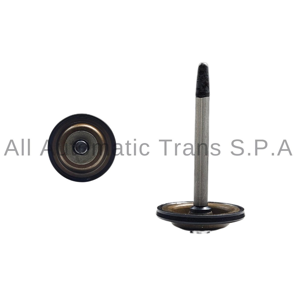 Piston Servo Oem M11