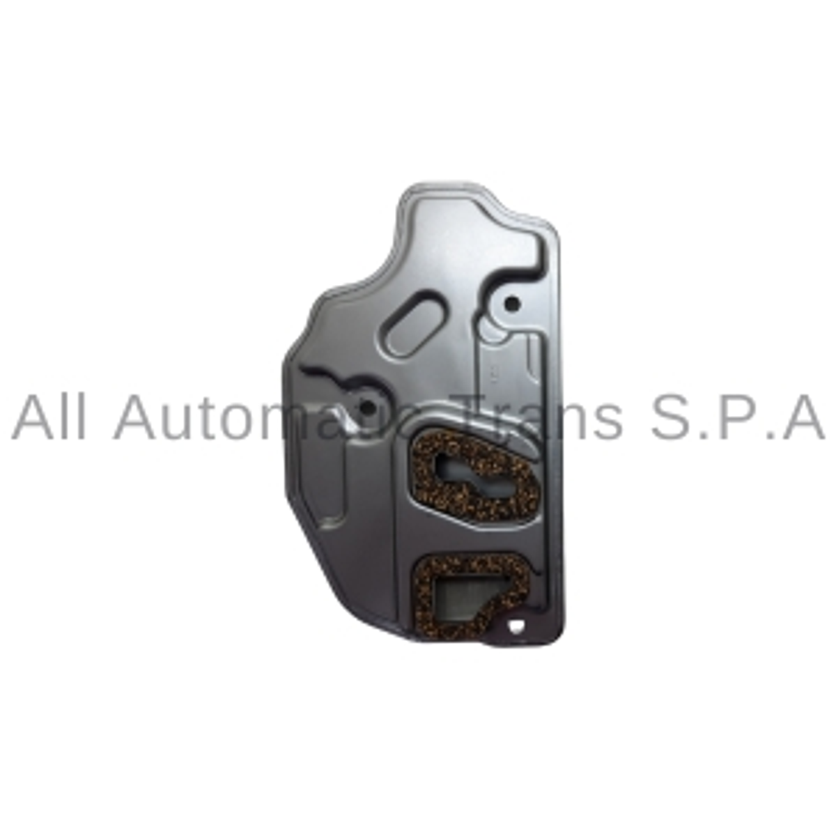 FILTRO VW/AUDI 09G, TF60SN 04-UP