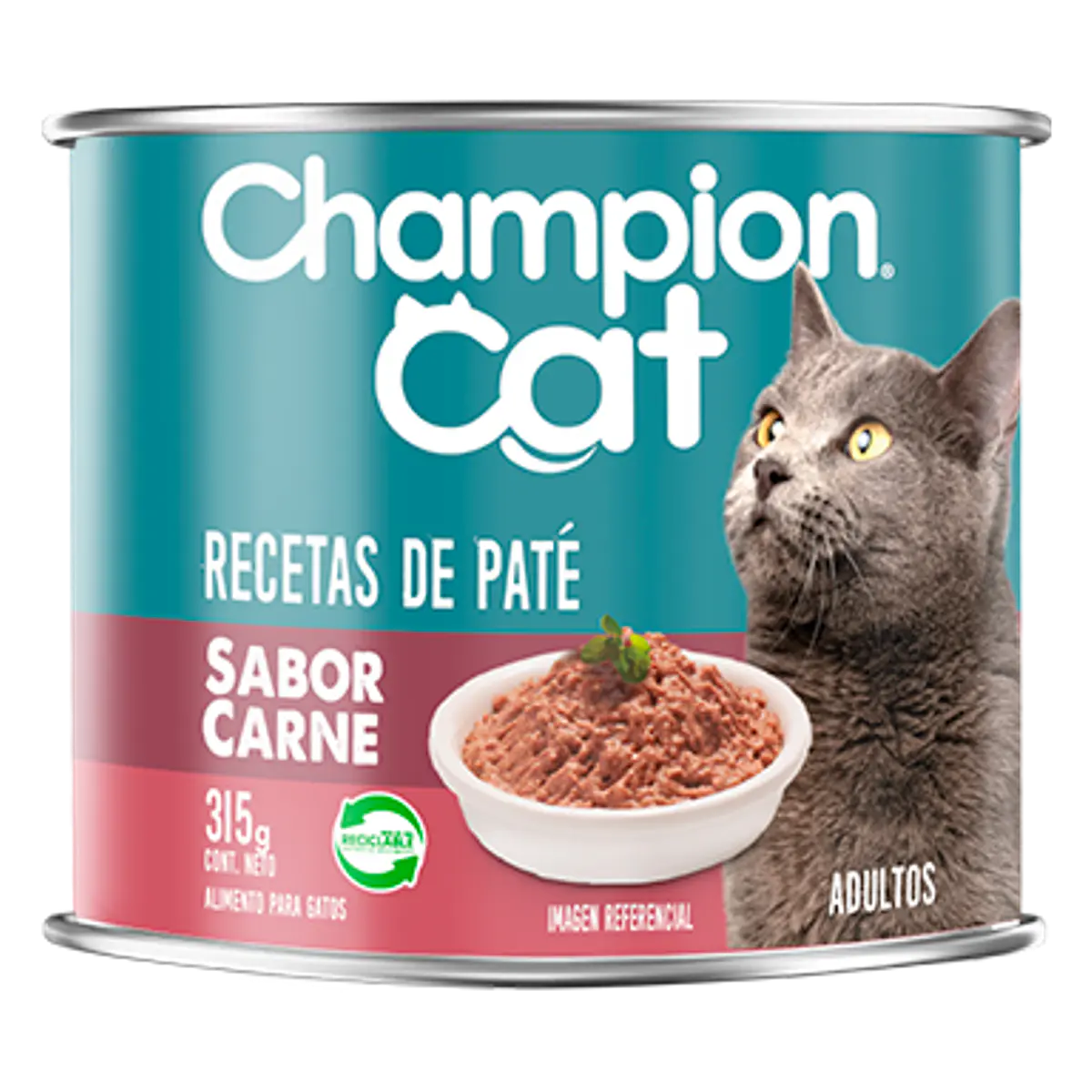 Champion Cat