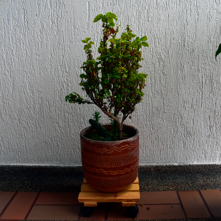 Base En Pino Cuadrada 24cm Para Matera Con Ruedas