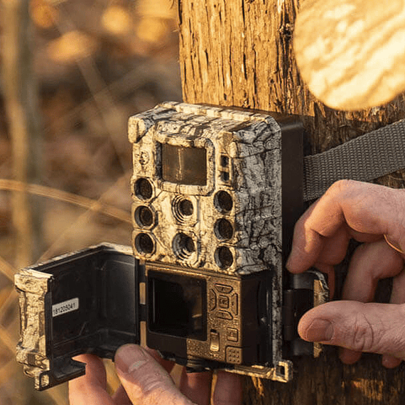 Cámara Trampa Bushnell Core DS-4K 32MP No Glow | Andes Photo