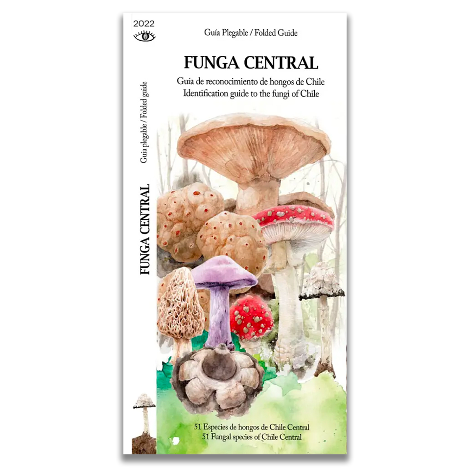 Guía de Campo Hongos Funga Central | Andes Photo