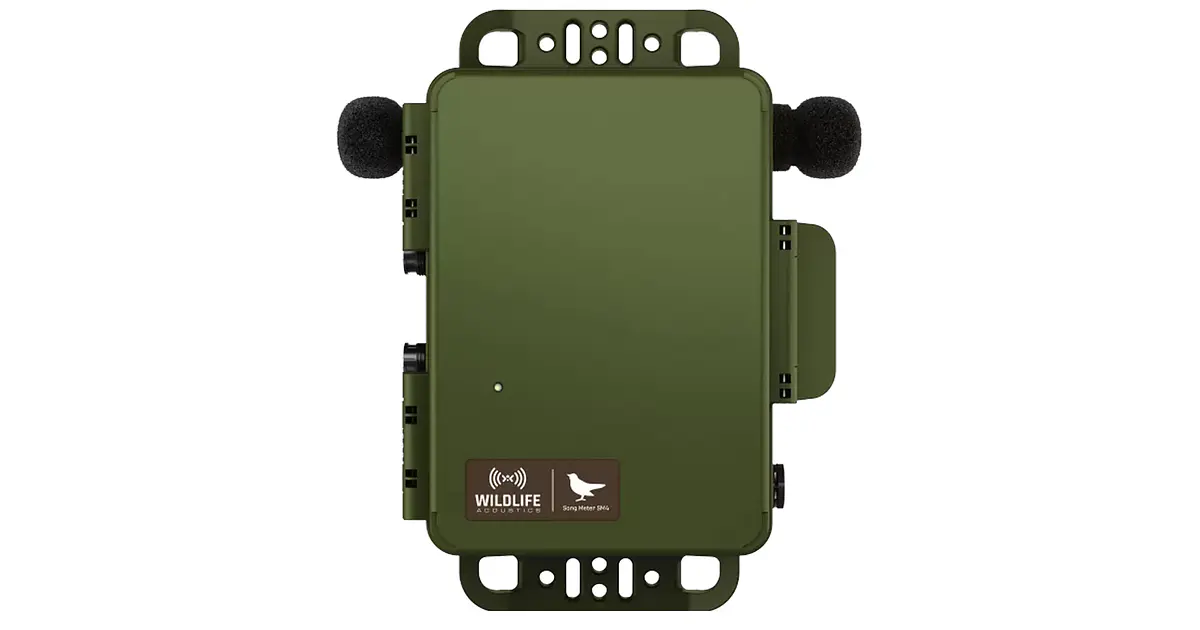 Grabadora Sonido Fauna Wildlife Acoustics Song Meter SM4