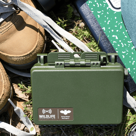 Grabadora Ultrasonido Murciélagos Wildlife Acoustics SMM 2 | Andes Photo