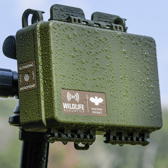 Grabadora Ultrasonido Murciélagos Wildlife Acoustics SMM 2 | Andes Photo
