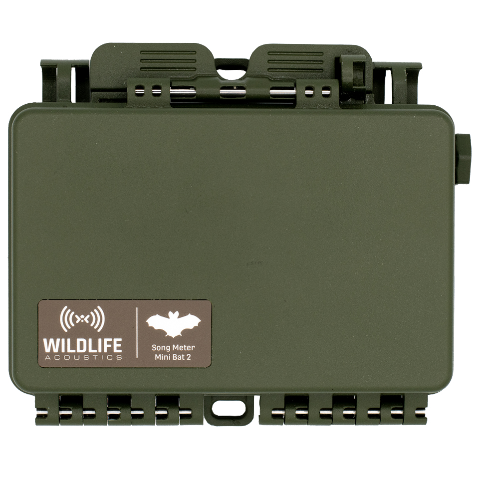 Grabadora Ultrasonido Murciélagos Wildlife Acoustics SMM 2 | Andes Photo
