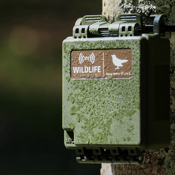 Grabadora Sonido Wildlife Acoustics Fauna Song Meter Micro 2 | Andes Photo