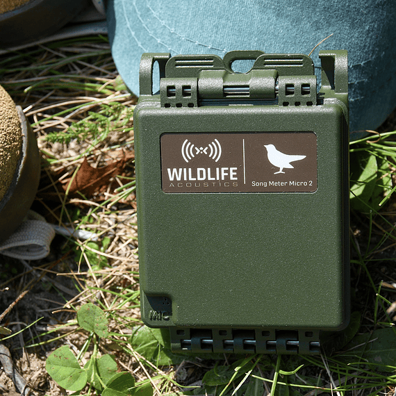 Grabadora Sonido Wildlife Acoustics Fauna Song Meter Micro 2 | Andes Photo