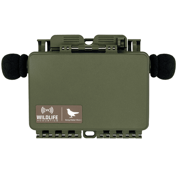 Grabadora Sonido Wildlife Acoustics Fauna Song Meter Mini 2 | Andes Photo