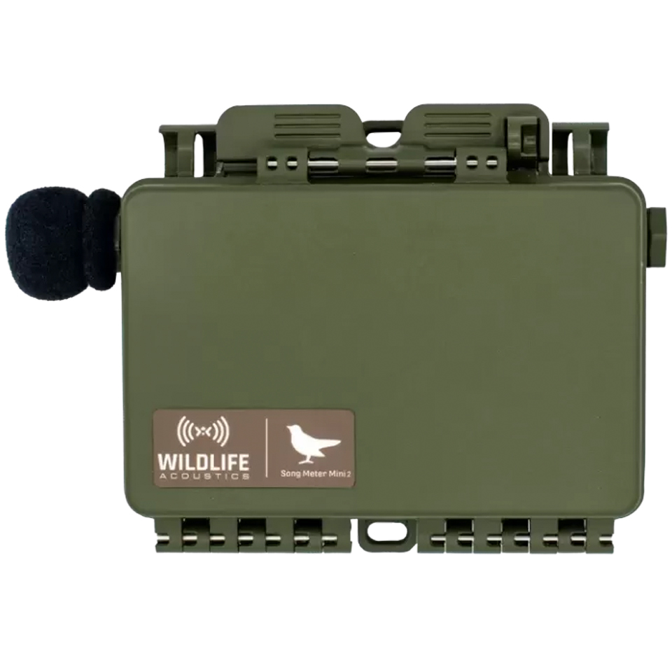 Grabadora Sonido Wildlife Acoustics Fauna Song Meter Mini 2 | Andes Photo
