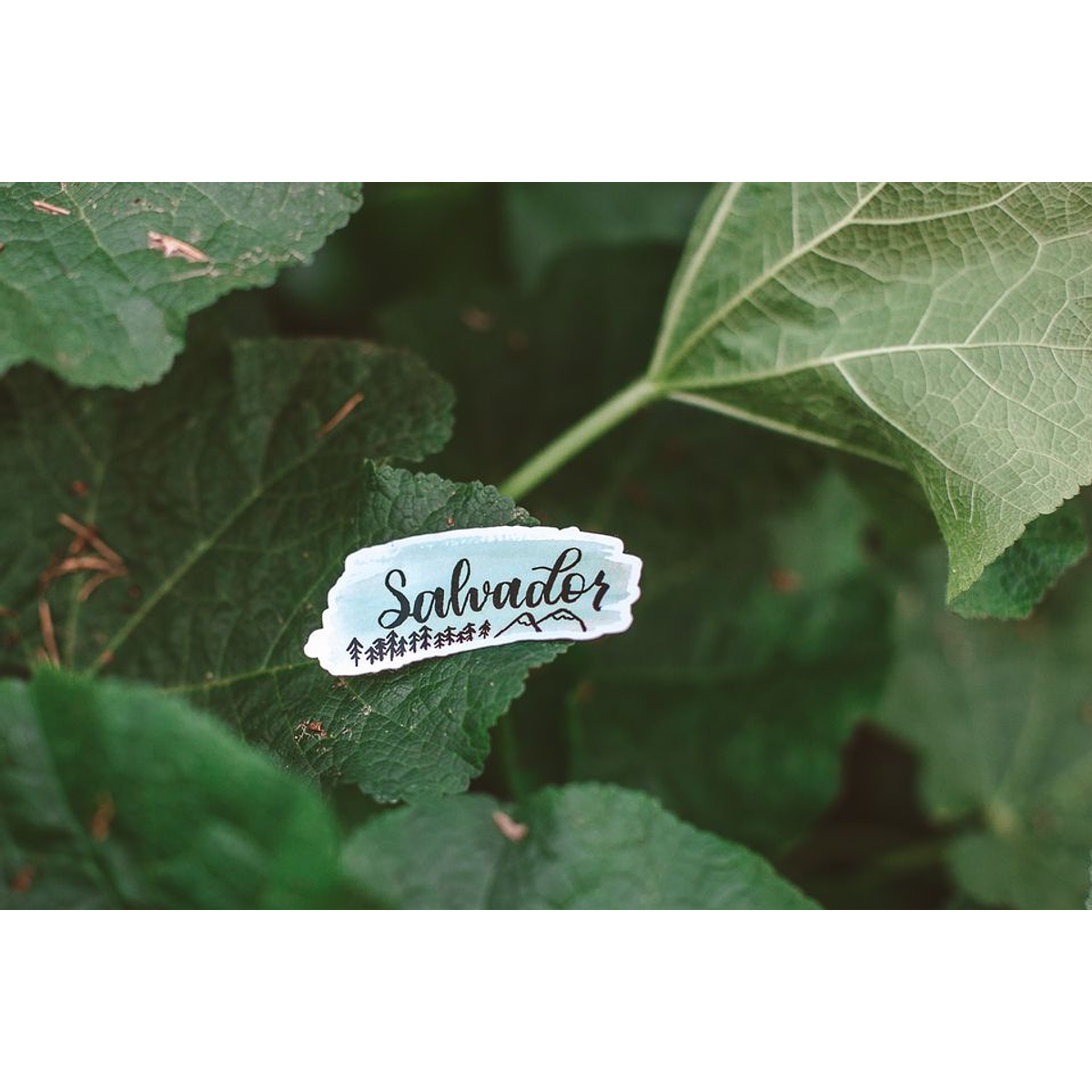 Letters Draw - Stickers