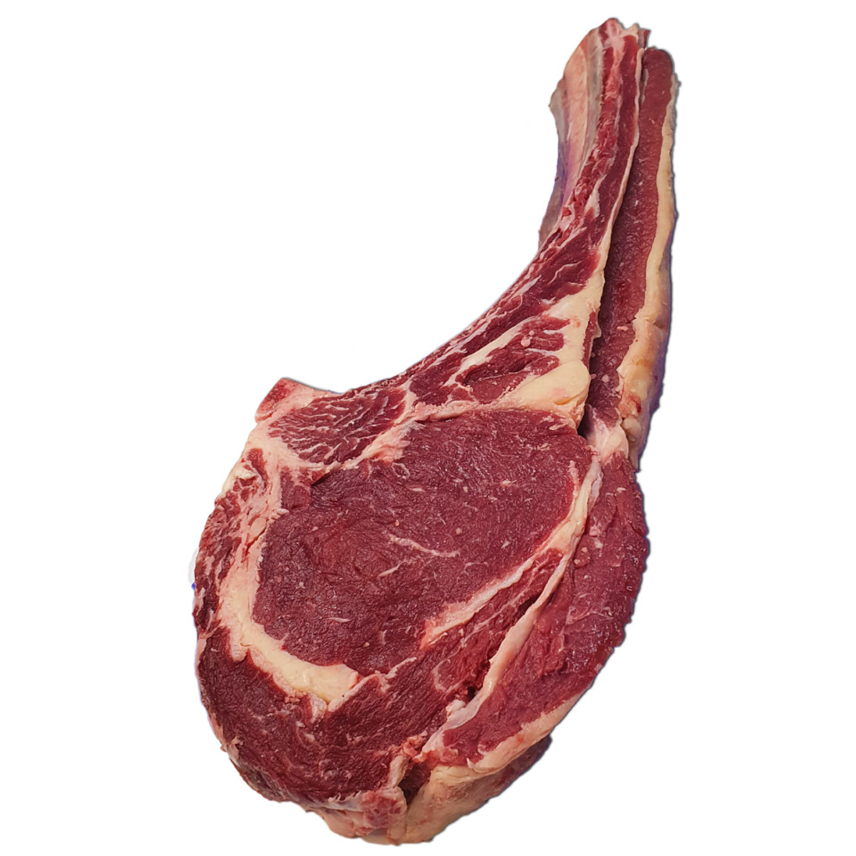 TOMAHAWK 100% ANGUS | Angus Lógicos. 100% Angus, SIN HORMONAS NI ...