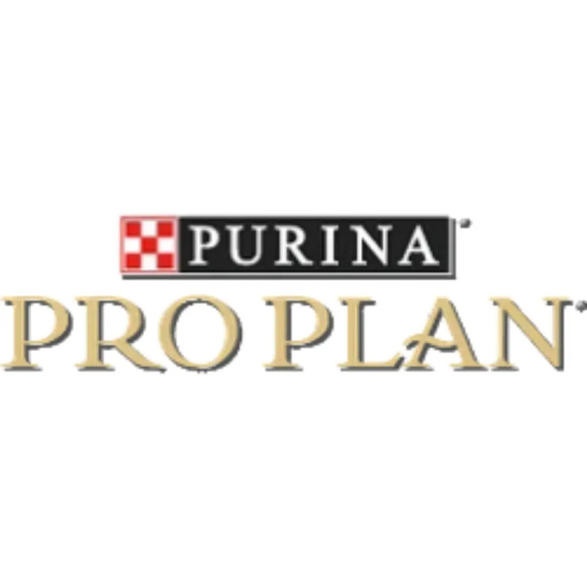 Pro Plan