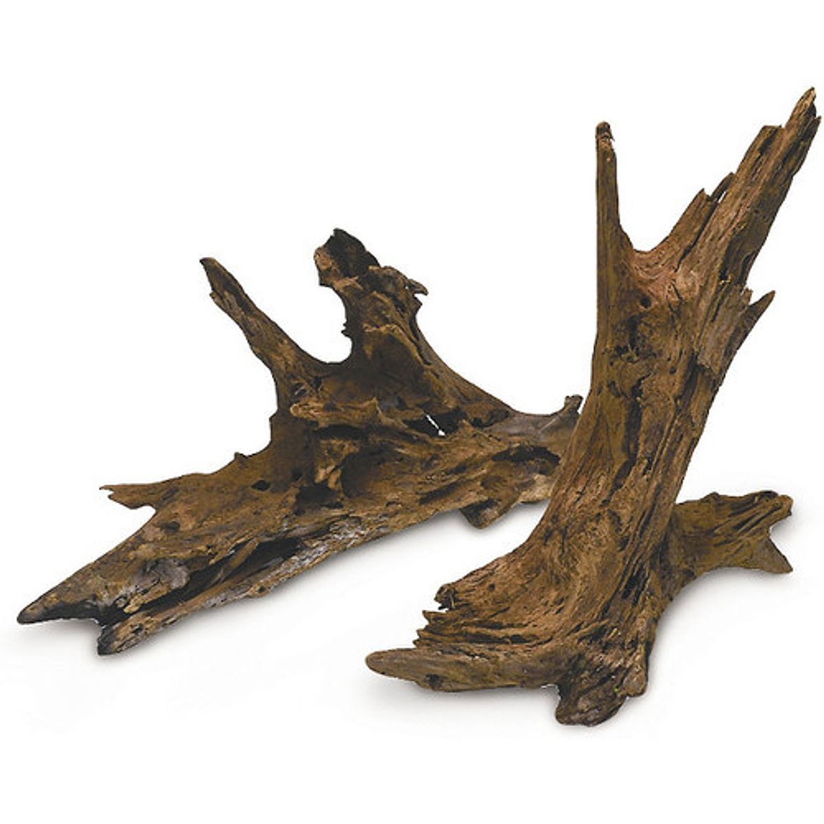 Tronco Raíz Mango Super