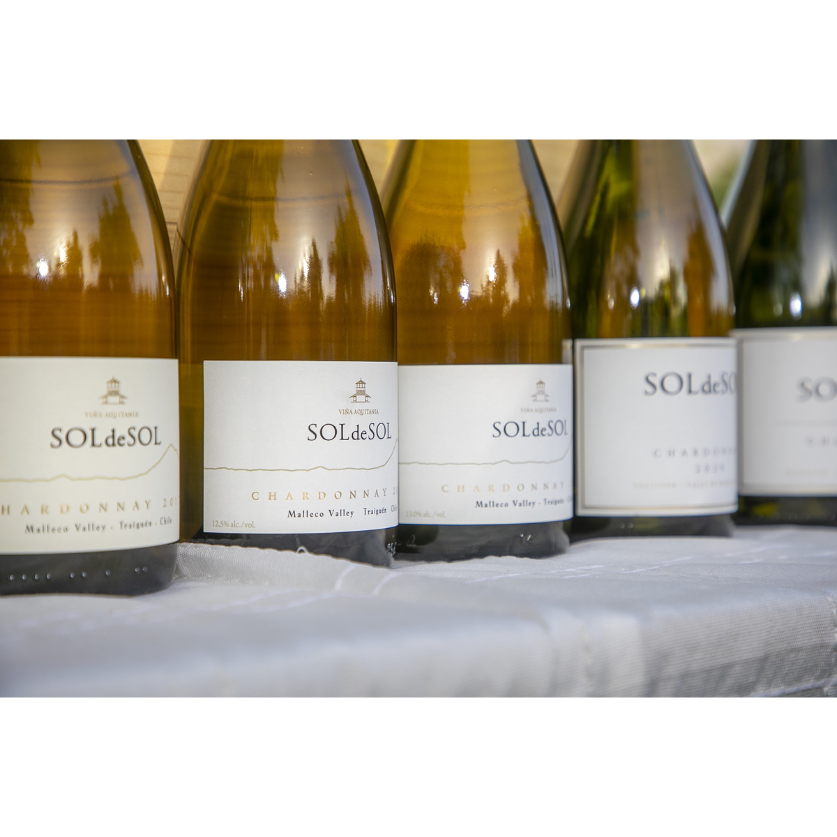 SOLdeSOL Chardonnay de Colección
