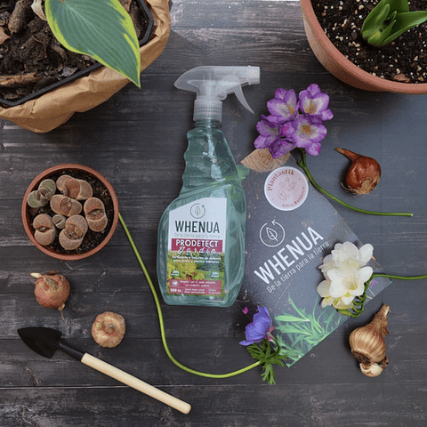 Foliar Insecticide 500cc