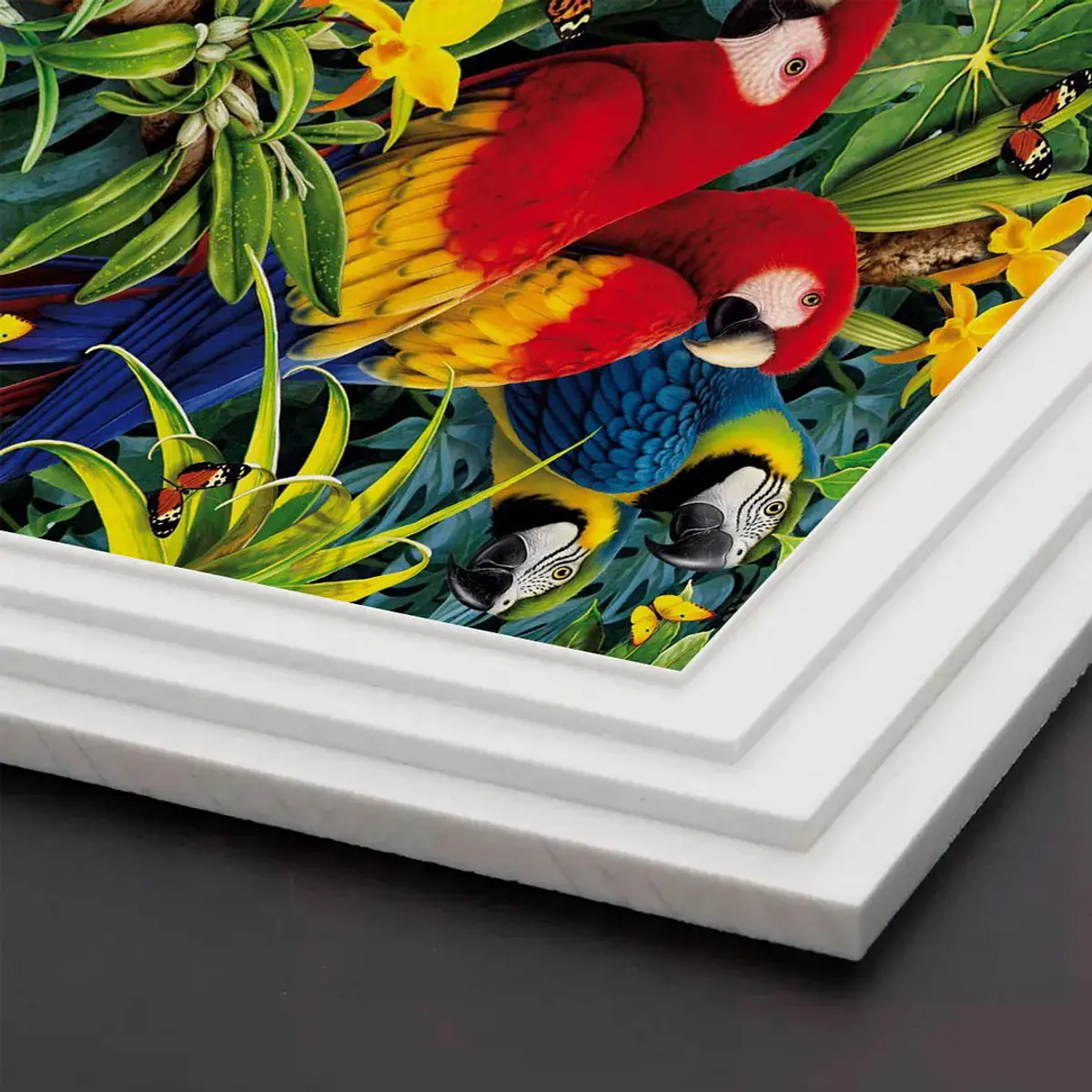 Plancha Foam