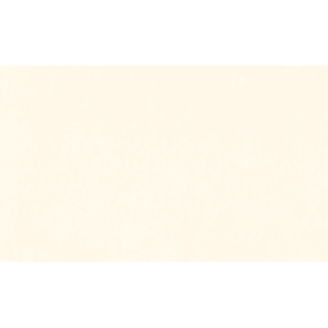 Tinta 250 ml Blanco opaco - 01