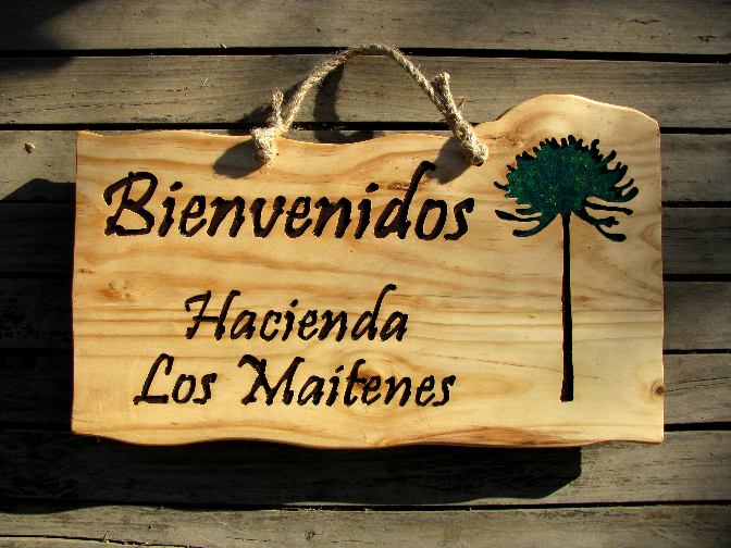 Letrero Madera 2 cm espesor