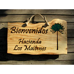 Letreros Personalizados