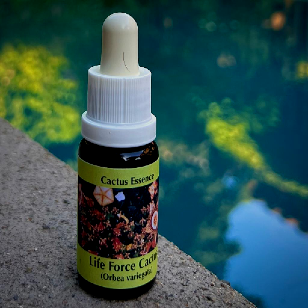 Esencia Cactus Vital