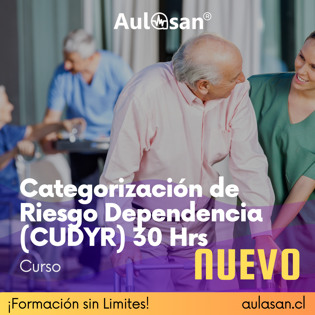 Categorización de Riesgo Dependencia (CUDYR) 30 Hrs.