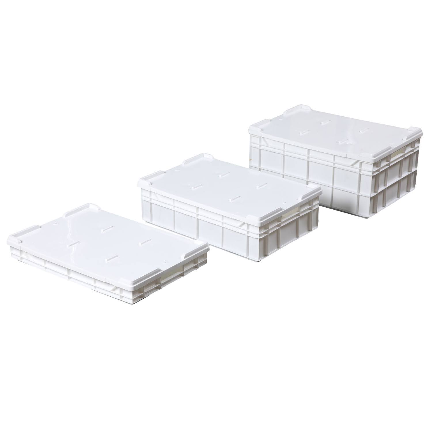 Tapa universal blanca cajas multiusos Wenco 60x40 cm