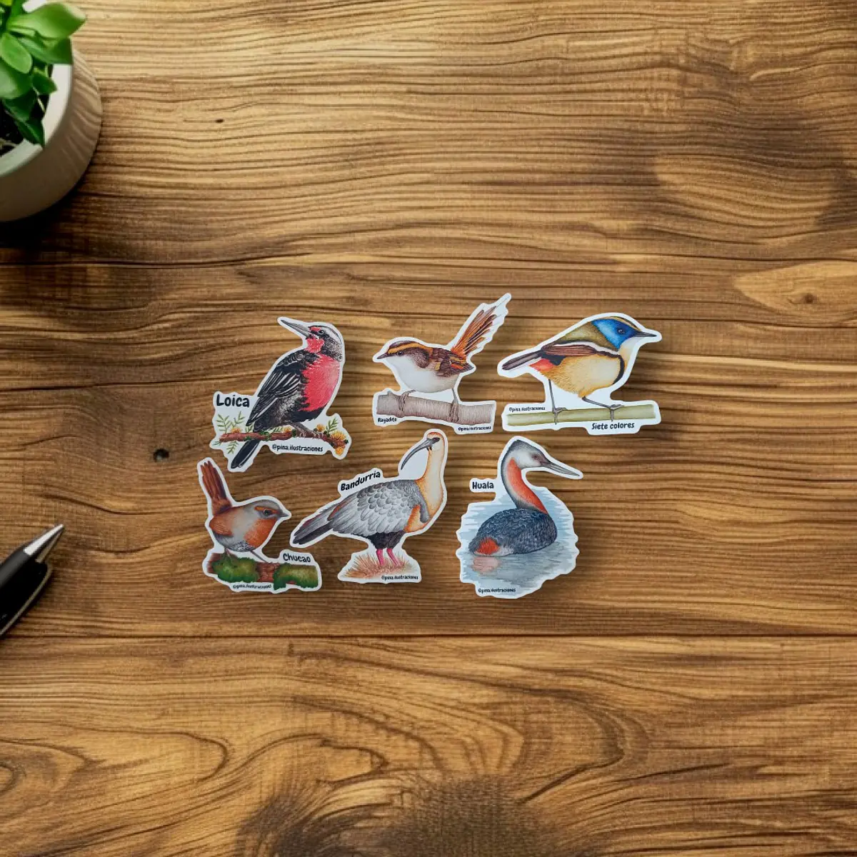 Set 6 Stickers Aves aprueba Agua