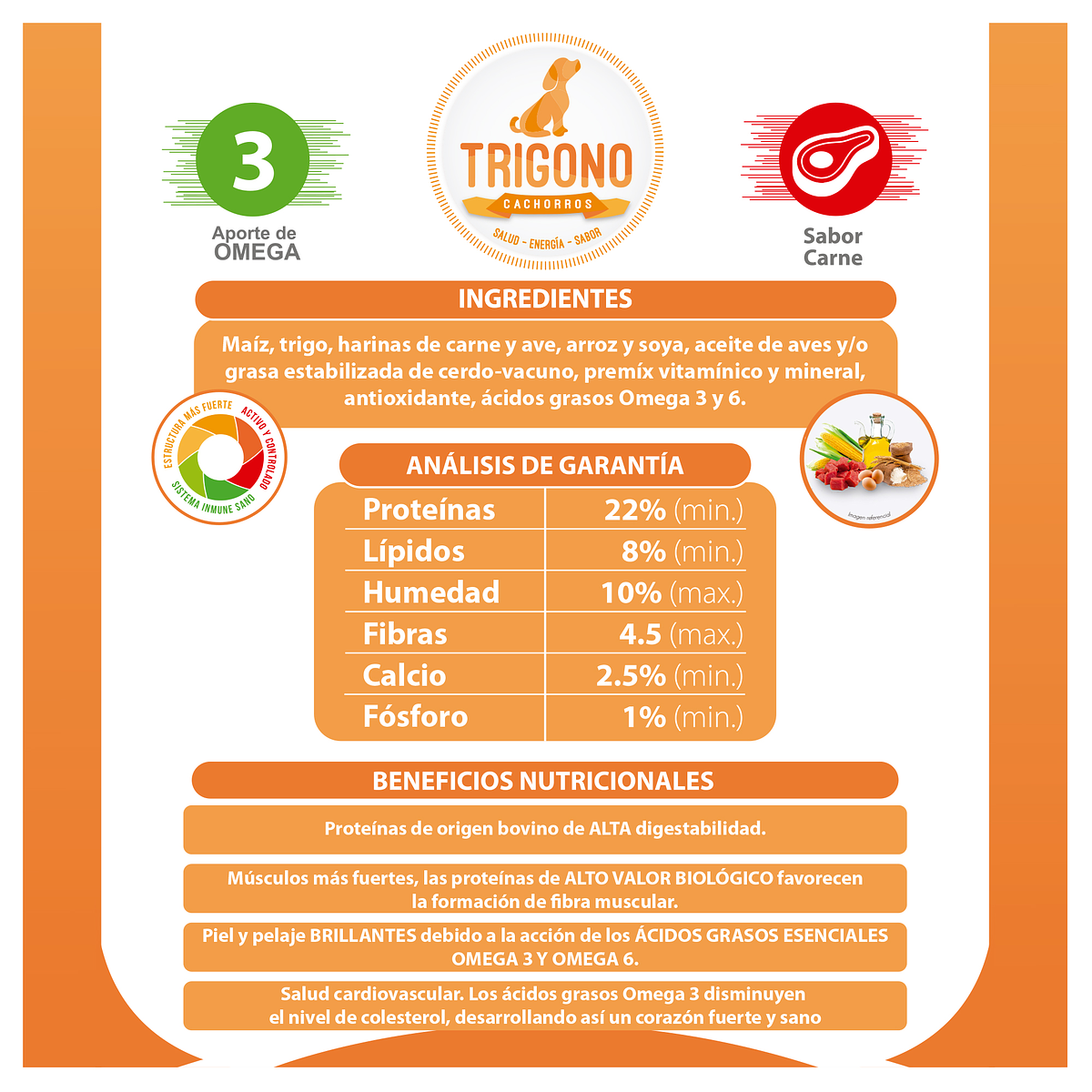 TRIGONO PERRO CACHORRO 10 KG | Avock Pet