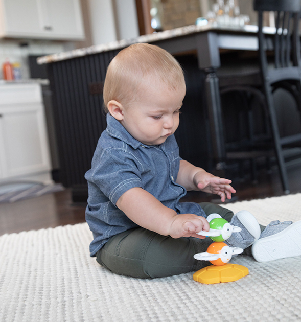 DIZZY BEES, MORDEDOR, APILABLE CON IMAN