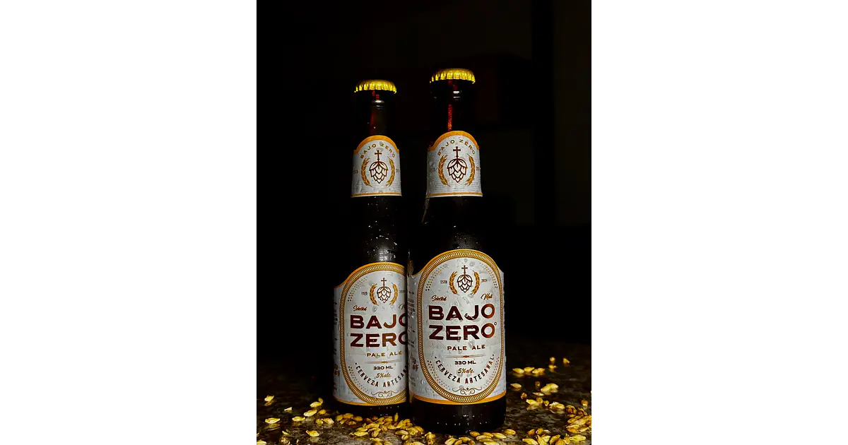 4 pack 330 ml - Pale Ale 5 % alc
