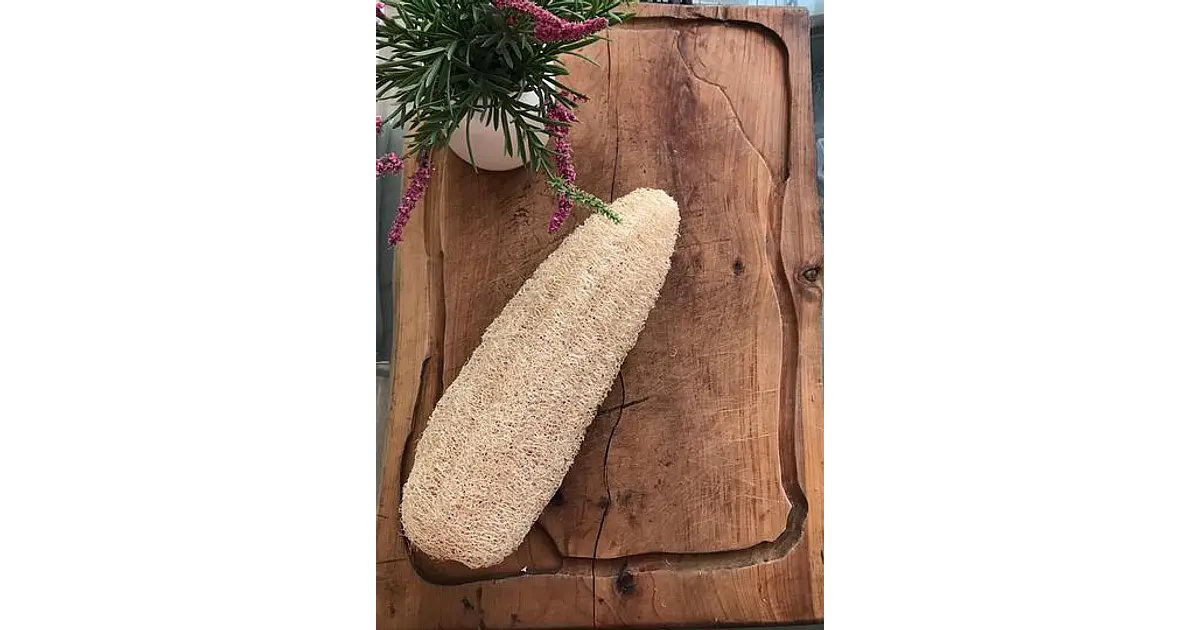 LUFA: ESPONJA VEGETAL EXFOLIANTE