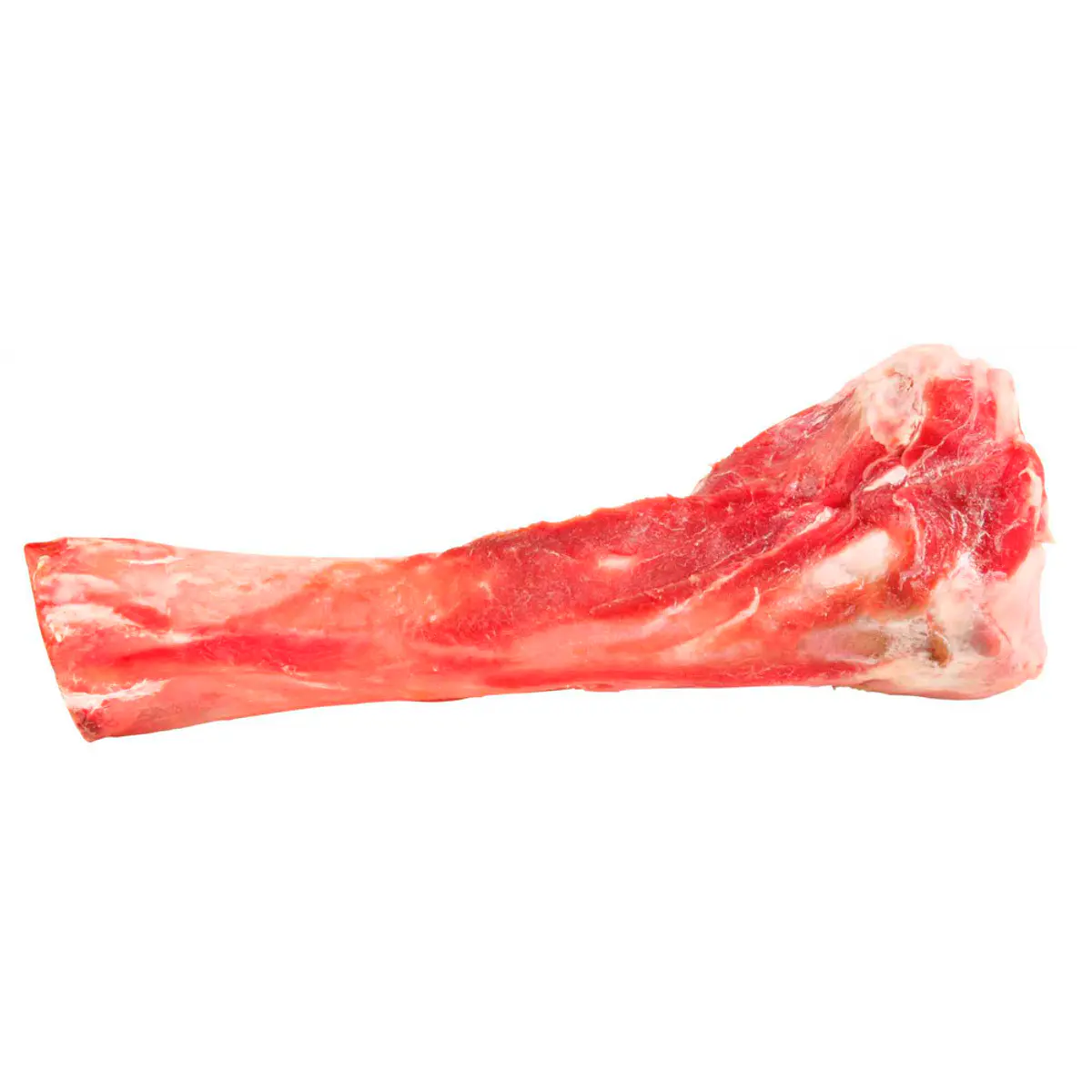 OSSO FRESCO (TIBIA) 250 GR