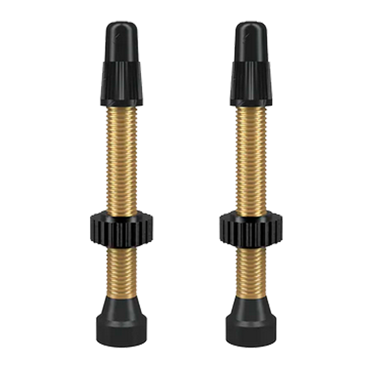 VALVULA FRANCESA TUBULAR WTB 2pcs 46MM